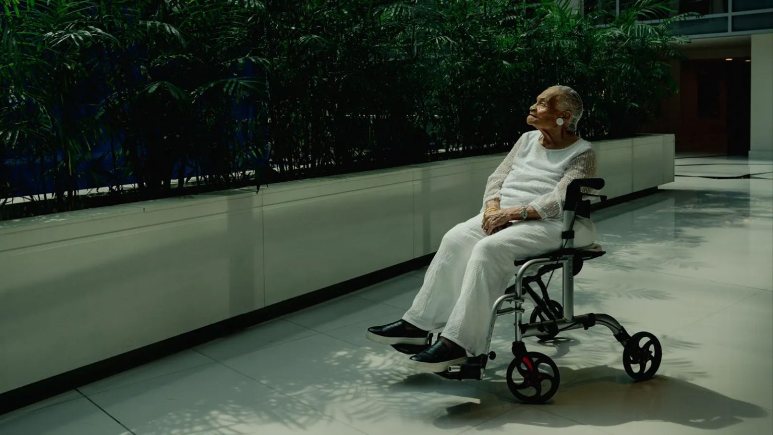 Home - National African American Reparations Commission (NAARC)