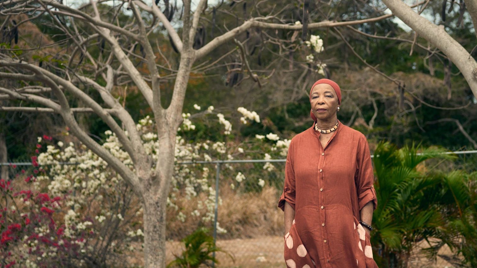 Home - National African American Reparations Commission (NAARC)